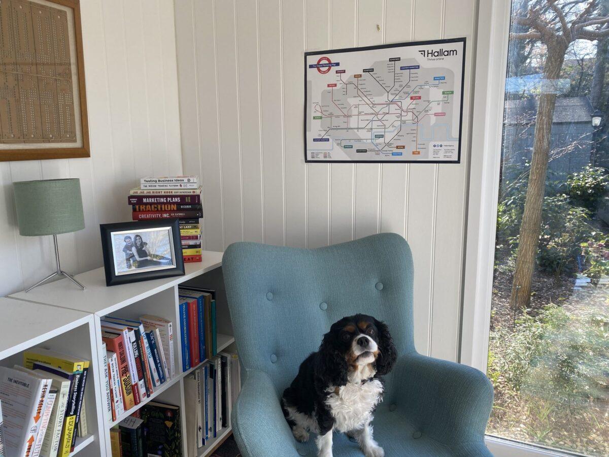 Digital Marketing Map 2020 — Hallam