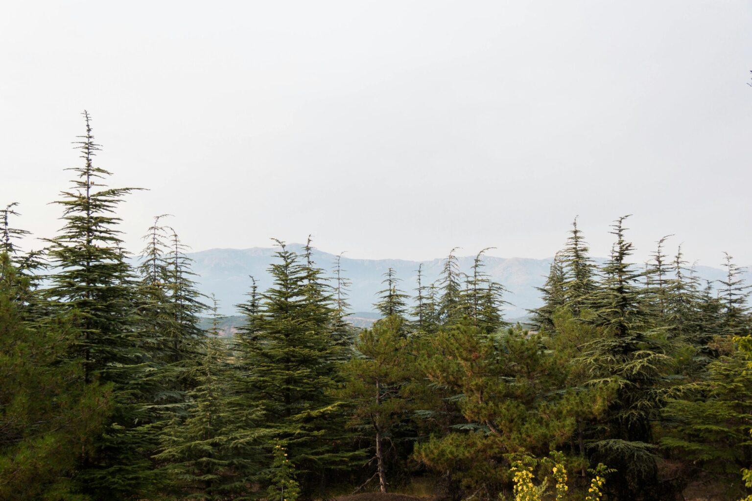 Beyond the badge: Why we’ve re-certified as a B Corp